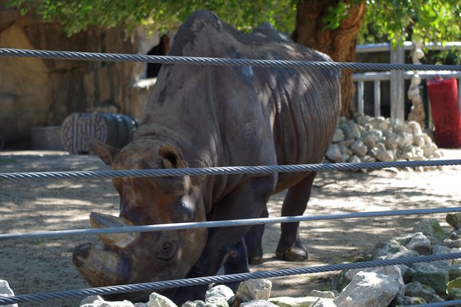 Chicago Amazing Lakefront Bike Tour - The Value Proposition: Is It Worth It?