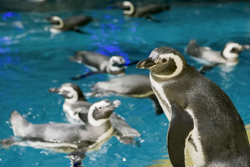 Chicago CityPASS®: Save up to 49% at 5 Top Attractions - Additional Attractions and Considerations