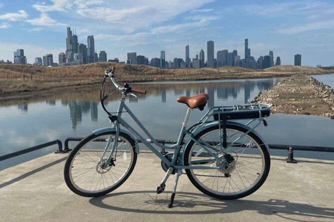 Chicago E-Bike Tour: Lakefront, Lincoln Park & Museum Campus - Who Will Love This Tour?