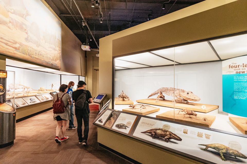 Chicago: Field Museum of Natural History Ticket or VIP Tour - FAQs