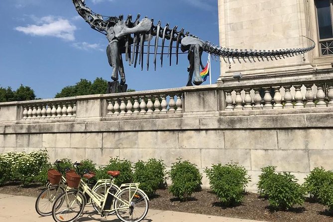 Chicago Lakefront Electric Bike Tour - Final Thoughts