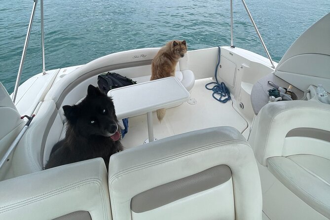 Chicago Private Boat Rental - Explore Chicago's Skyline & Waters - What Makes This Experience Special