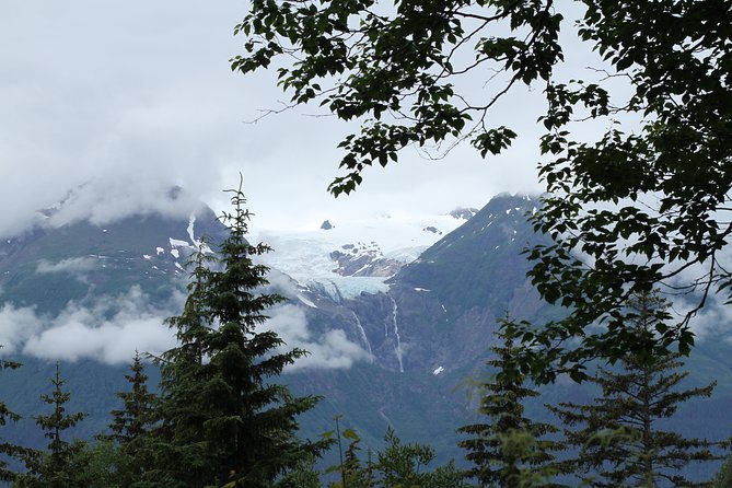 Chilkat Inlet Coastal Hike in Haines