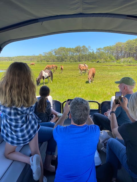 Chincoteague: Premier Pony & Wildlife Small Group Boat Tour - An In-Depth Look at the Tour Experience
