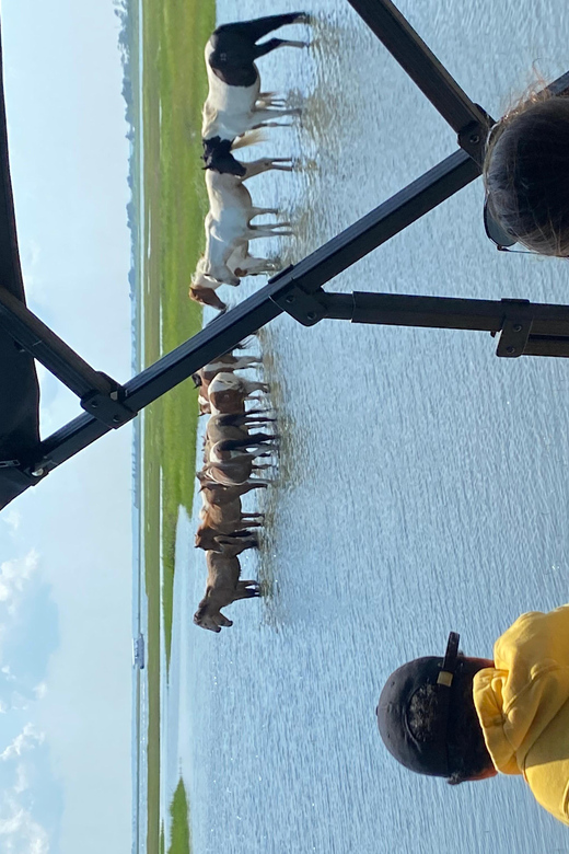 Chincoteague: Premier Pony & Wildlife Small Group Boat Tour - Why Travelers Love This Tour