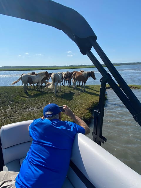 Chincoteague: Premier Pony & Wildlife Small Group Boat Tour - Who Would Enjoy This Tour?