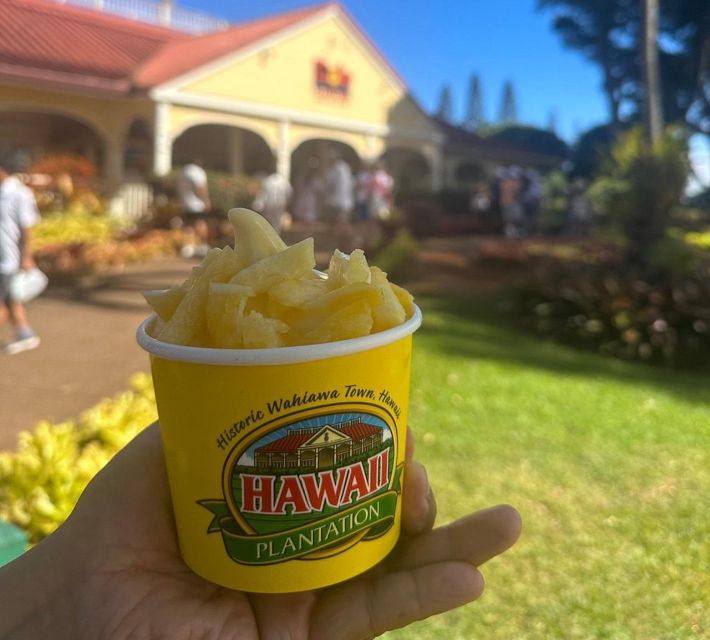 Circle Island: Swim with Turtles and Explore Paradise Oahu - Who Would Love This Tour?