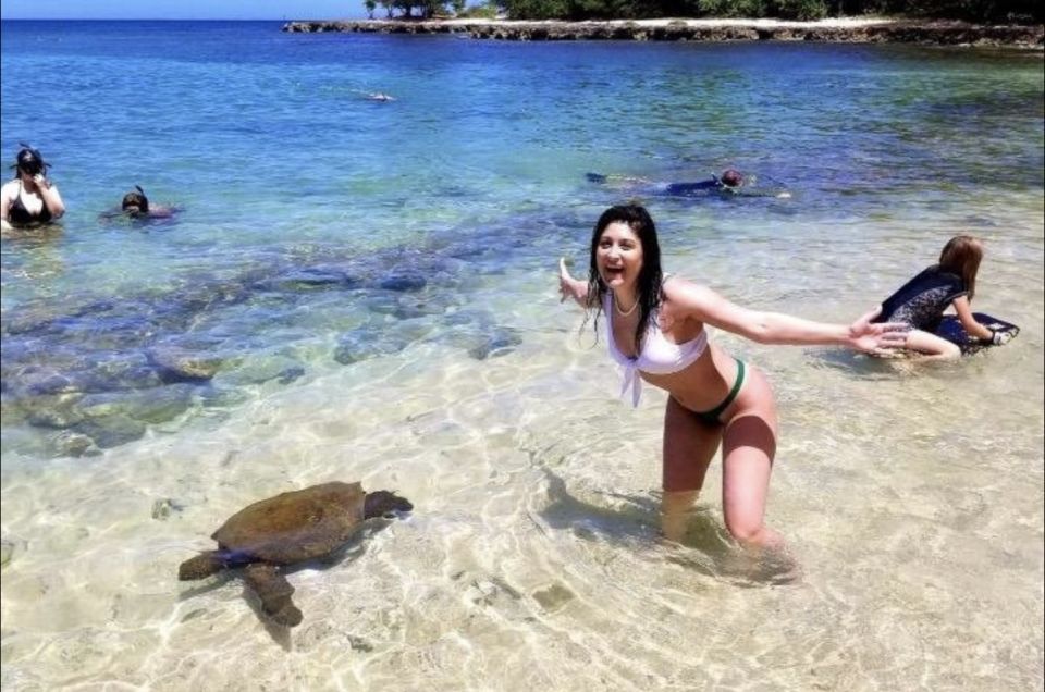 Circle Island: Swim with Turtles and Explore Paradise Oahu - The Sum Up