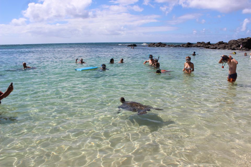 Circle Island: Swim with Turtles and Explore Paradise Oahu - Frequently Asked Questions