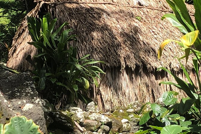 Circle Island tours - swim with turtles,Private & Small Group Tours - Transportation and Group Size