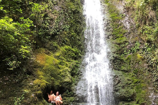 Circle Island tours - swim with turtles,Private & Small Group Tours - Who Is This Tour Best For?