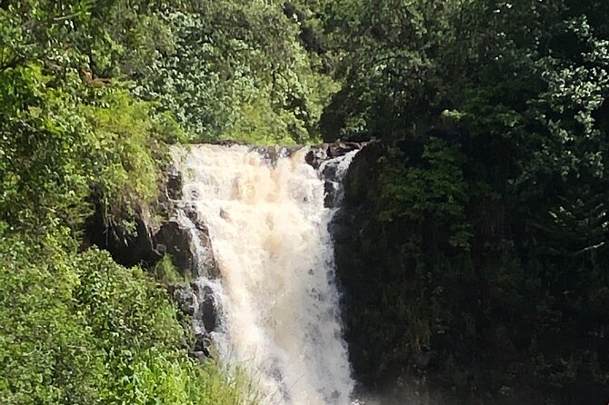 Circle Island tours - swim with turtles,Private & Small Group Tours - Final Thoughts