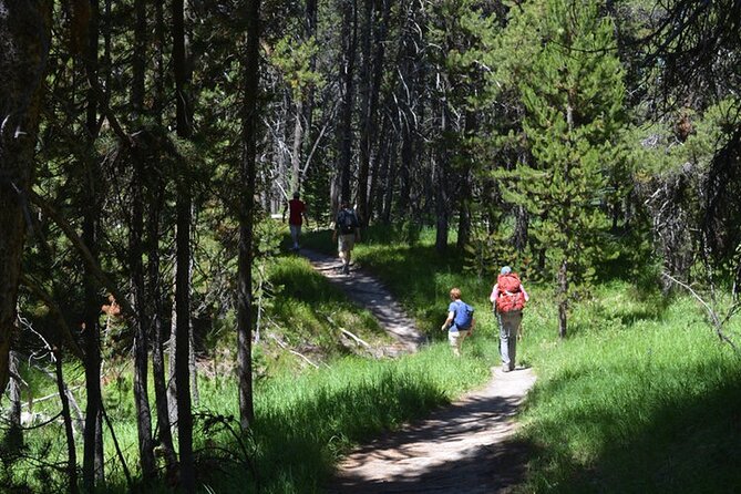 Classic Yellowstone Hike to the Shores of Lake Shoshone (Private - Why Choose This Tour? An In-Depth Look