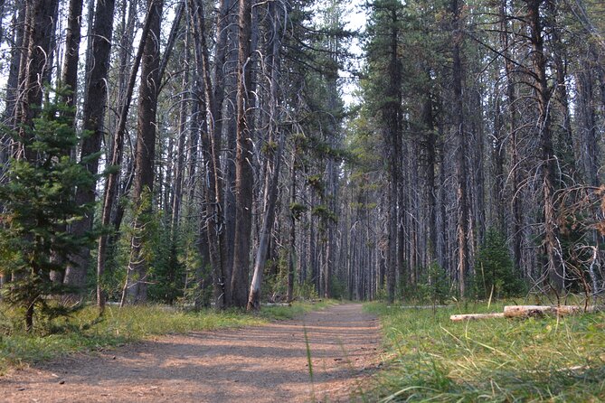 Classic Yellowstone Hike to the Shores of Lake Shoshone (Private - The Sum Up: Is This the Yellowstone Experience for You?