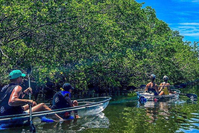 Clear Kayak Ecotour at Robinson Preserve in Bradenton, Florida - Practical Details