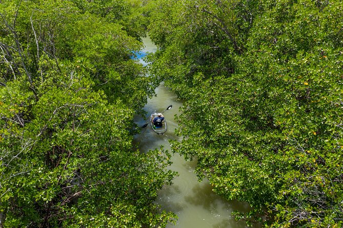 Clear Kayak Guided Eco Tour in North Naples