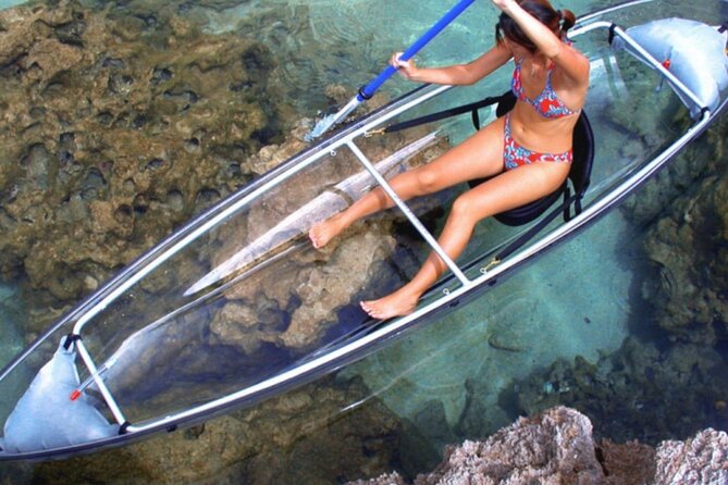 Clear Kayak Private Guided Day and Night Tours in Florida