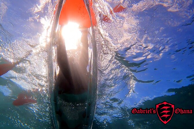 Clear Kayak Tour with Pontoons and Optional Snorkeling-Unlimited - Why You’ll Love the Clear Kayak Tour