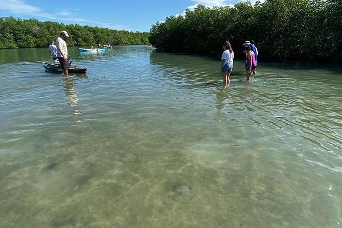 Clear Kayak Tours in Fort Pierce