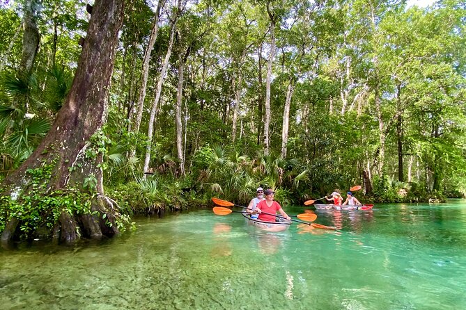 Clear Kayak Tours in Weeki Wachee