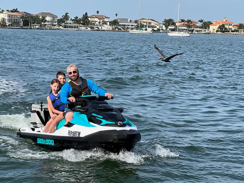 Clearwater: 1 Hour Jetski Dolphin Tour with Guide