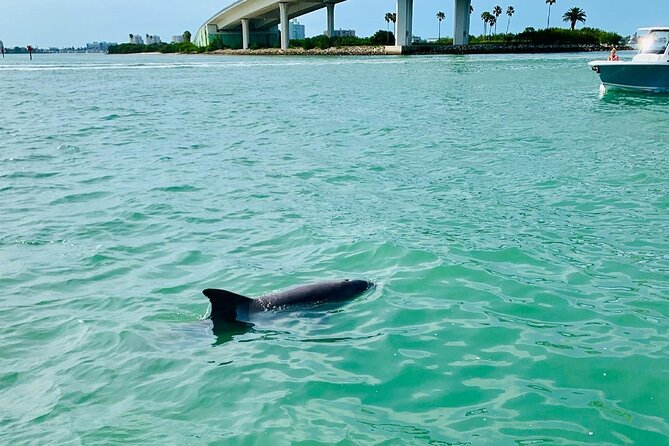 Clearwater Beach Private Pontoon Boat Tour for six