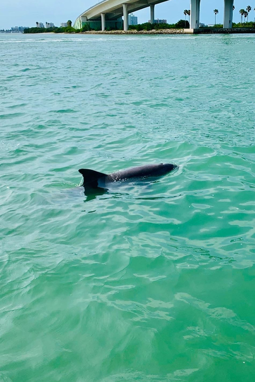 Clearwater Beach: Private Pontoon Tours - The Experience: What Travelers Say