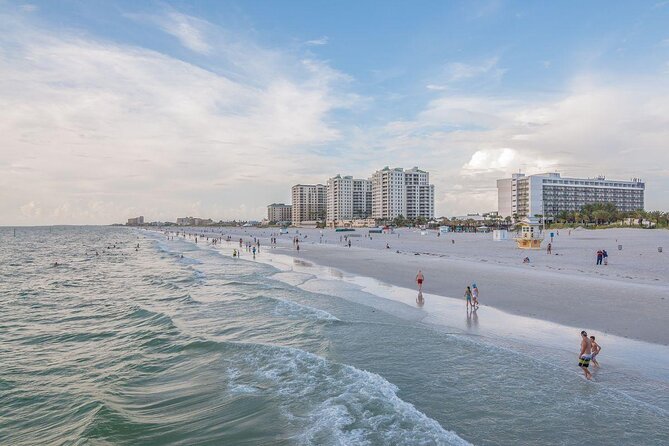 Clearwater Encounters with Dolphins Tour