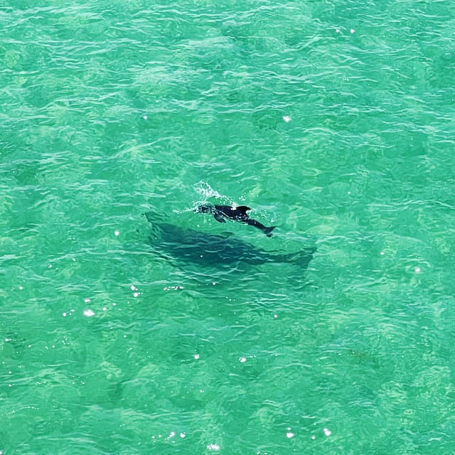 Clearwater: Guided Clear Kayaking Tour