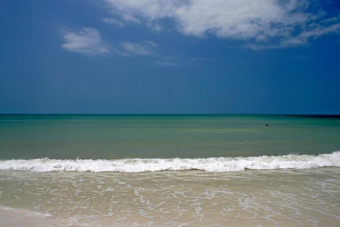 Clearwater Inshore Fishing Charter - Why This Tour Stands Out