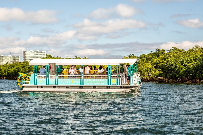 Clearwater Island Hop and Dolphin Watch with Swimming