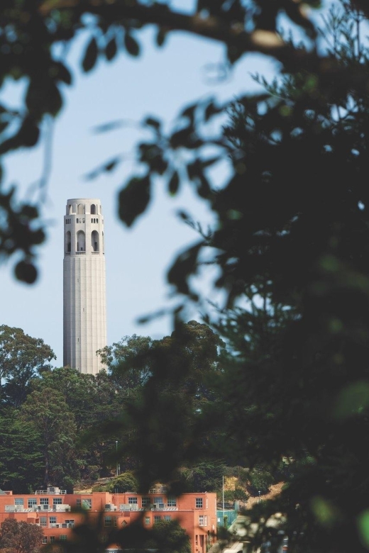 Coit Tower & Little Italy Landmark Walking Tour - The Experience in Detail