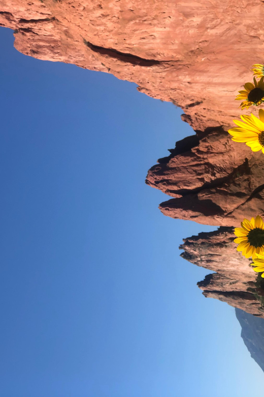 Colorado Springs: Garden of the Gods & Manitou Springs Tour - Who Is This Tour Best For?