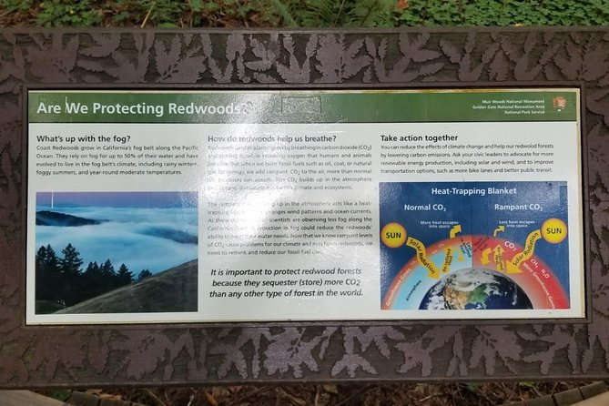 Combo Tour: Muir Woods, Sausalito and Sonoma Wine Country Tour - Potential Drawbacks or Considerations