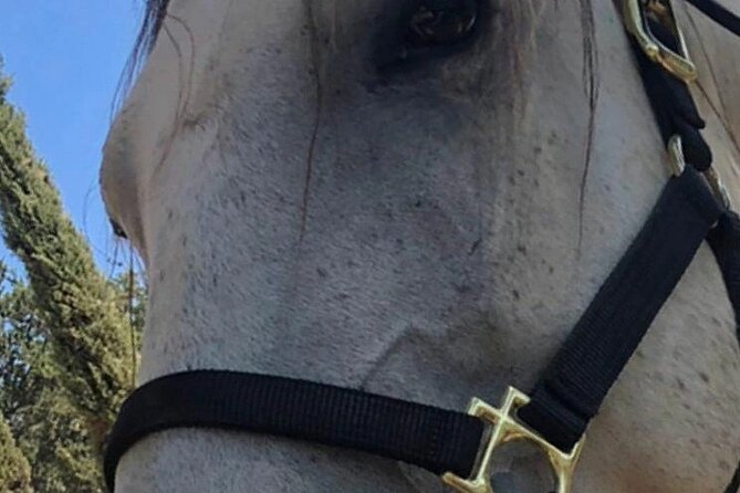 Cowboy Ranch House Sleep and Ride the Canyon - What Is the Cowboy Ranch House Sleep and Ride the Canyon?