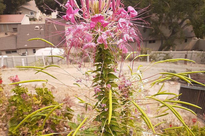 Cowboy Ranch House Sleep and Ride the Canyon - Who Would Love This Tour?