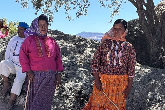 Creel and El Chepe Northern Chihuahua Experience - Pricing and Value