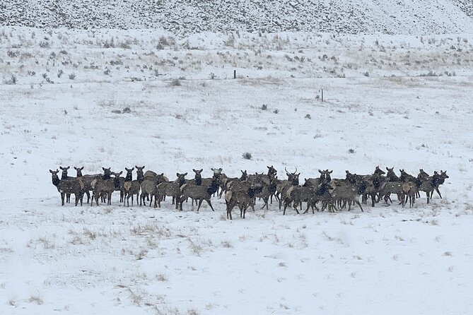 Cripple Creek Back Country Jeep Tour - Final Thoughts: Is It Worth It?