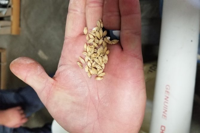 Custom Arizona Brewery / Vineyard Tour - What You Can Expect from the Experience