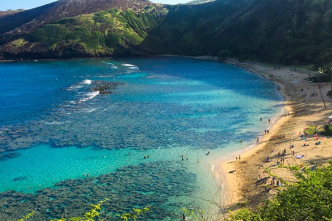 Customizable Island Tours Tours on Oahu - Authentic Insights from Reviewers