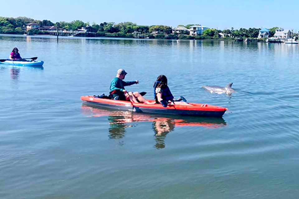 Daytona Beach: Guided Kayaking or Standup Paddling Tour