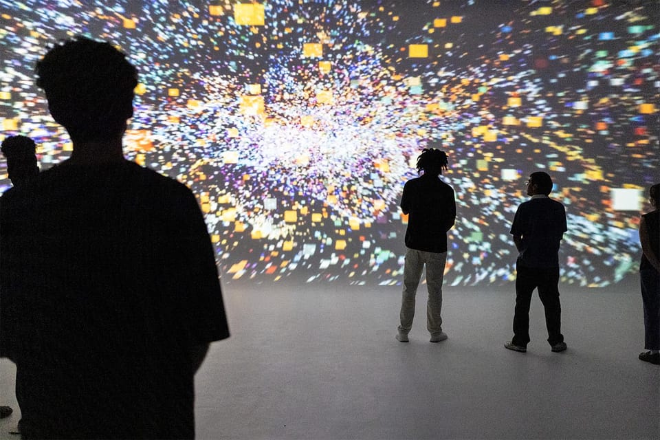 DC: All Creation Sings- Museum of the Bible Exhibition Entry - Practical Details and Value