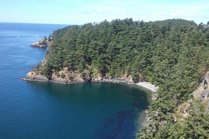 Deception Pass Bridge Island Tour from Seattle - Timing and Duration: Is It Worth It?
