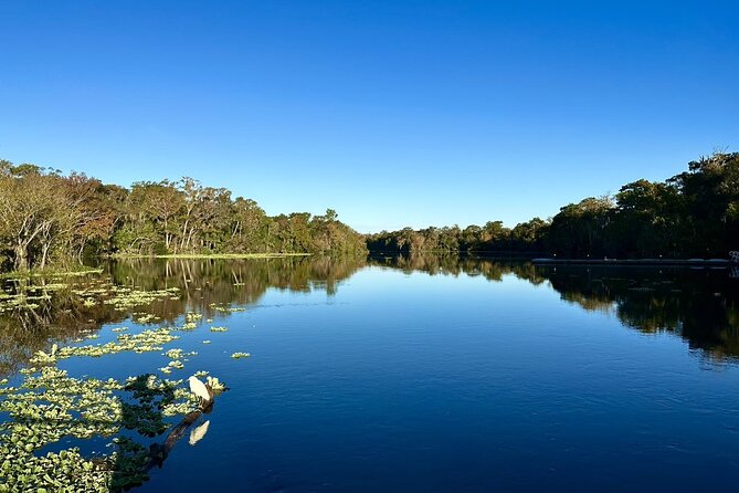 DeLeon Springs River Boat Tour