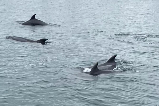 Deluxe Sunset & Day Sail Small Group - FAQs