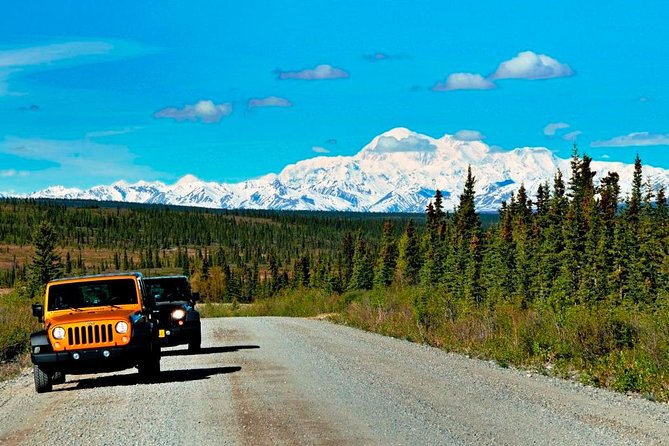 Denali Highway Jeep Excursion - What Is the Denali Highway Jeep Excursion?
