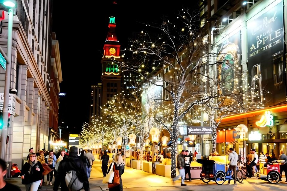 Denver: Holiday Lights & Sights Bus Tour - Who Is This Tour Best For?