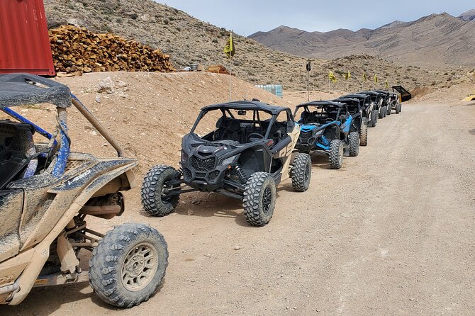 Desert Combo: Can Am UTV, Shooting and Axe Throwing Experience - Who Is This Tour Best For?