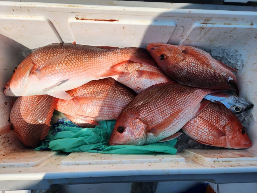 Destin: Fish and Fun Destin! - Final Thoughts