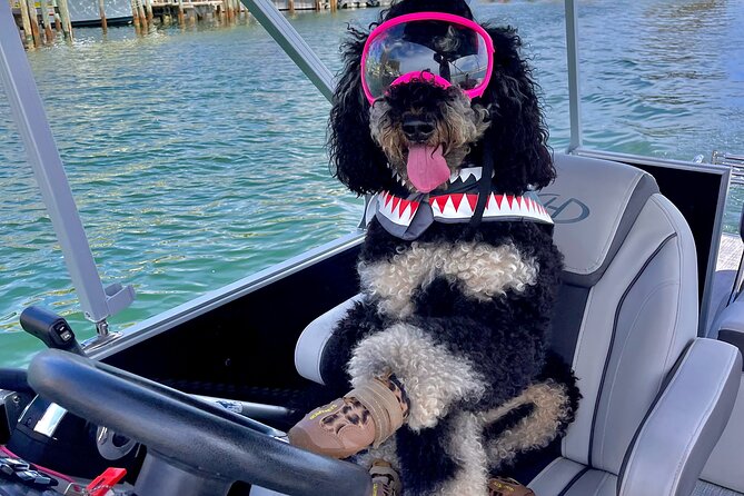 Destin- Private Chartered Slide Pontoon Boat-Up to 6 Guests - What We Love About This Experience